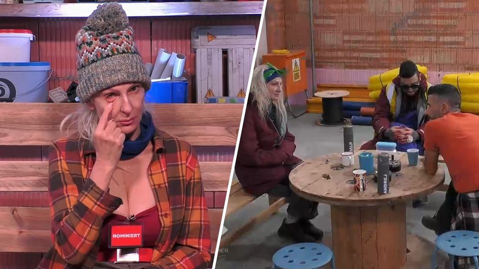 Désirée Nick: "Marc Terenzi hat sich hochgeschlafen."